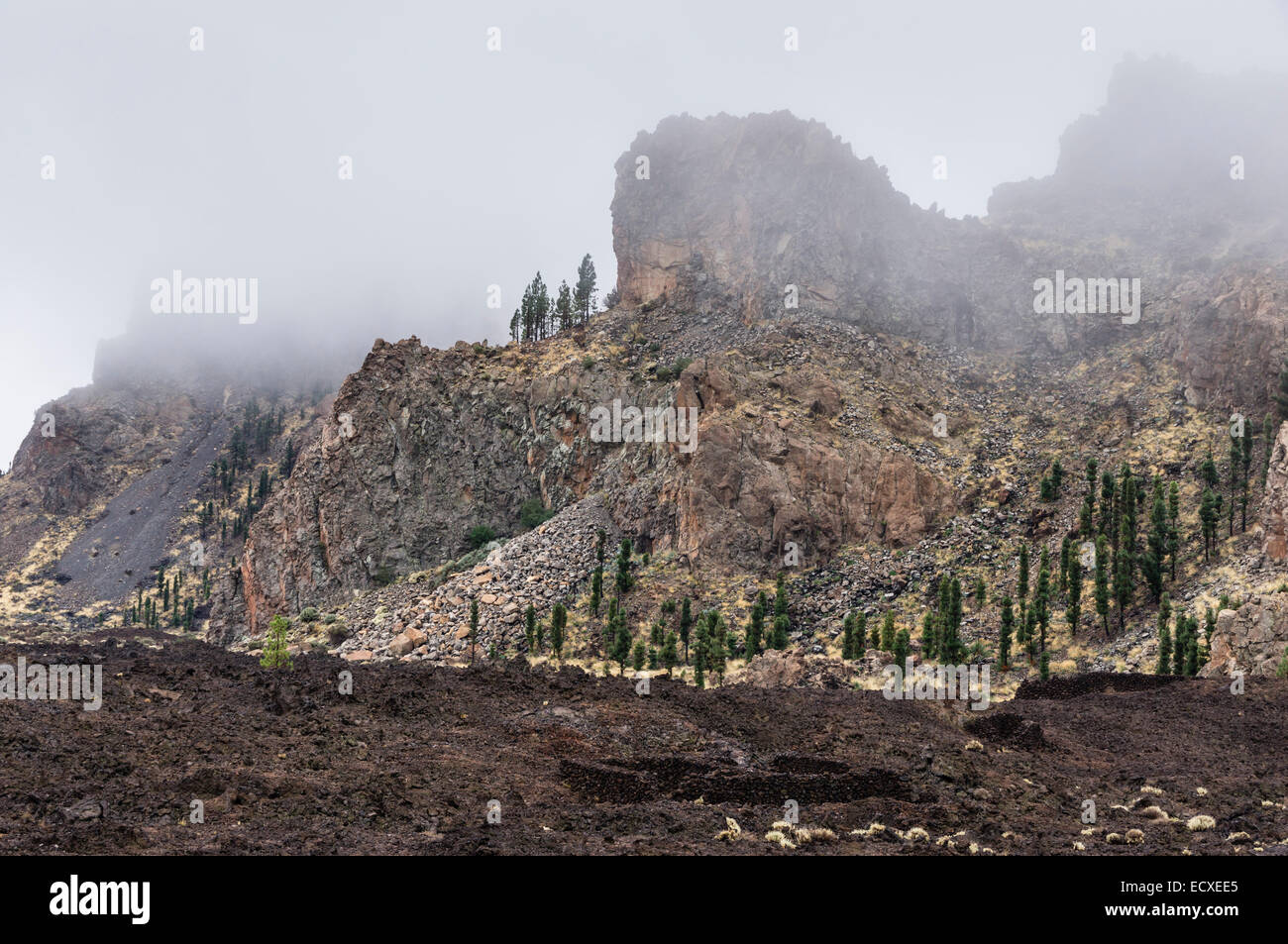 Tenerife - Mount Teide. The national park, volcanic landscape Stock ...