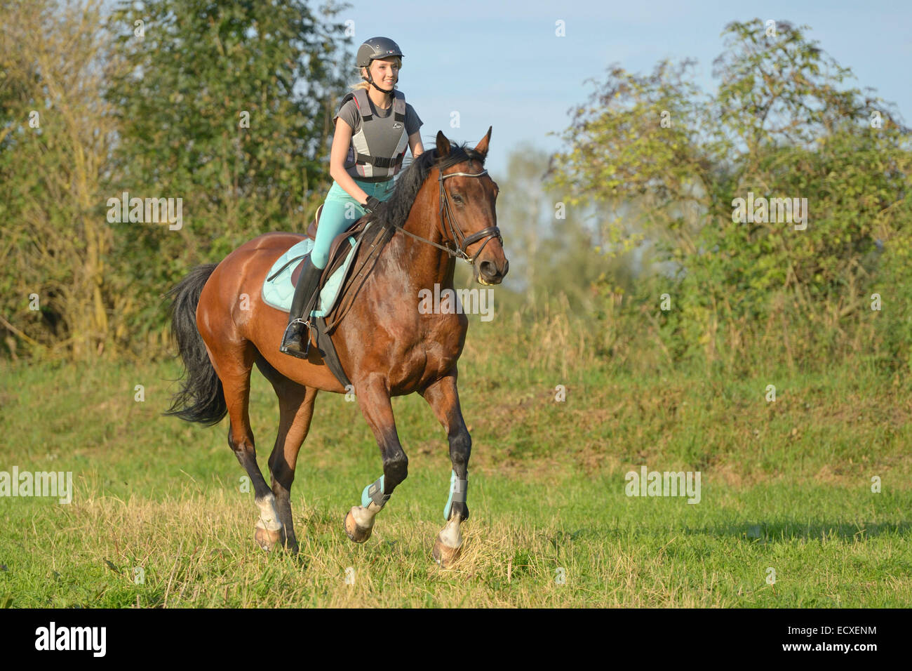 Young rider wearing a helmet and a body protector riding on back of a ...