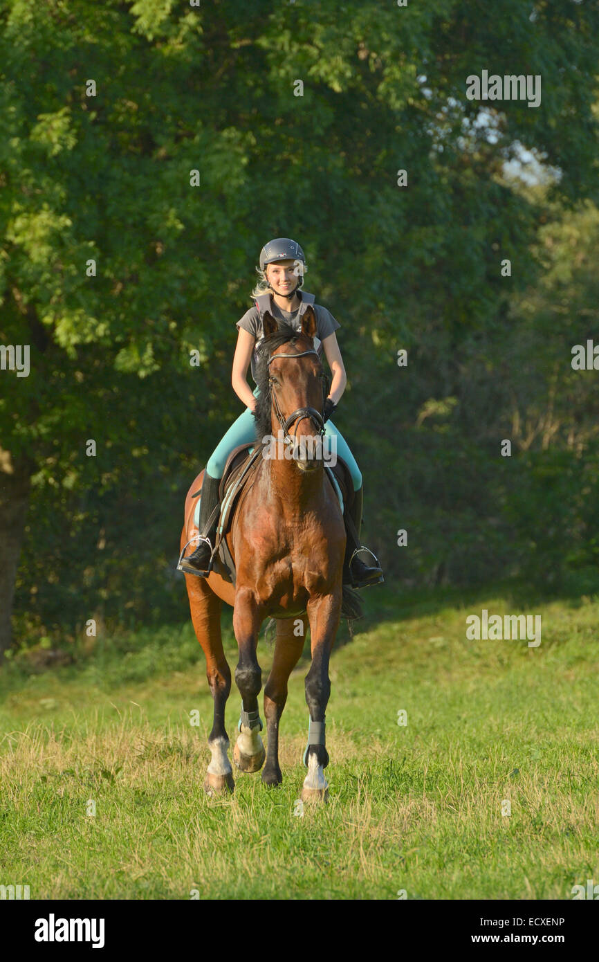 Young rider wearing a helmet and a body protector riding on back of a ...