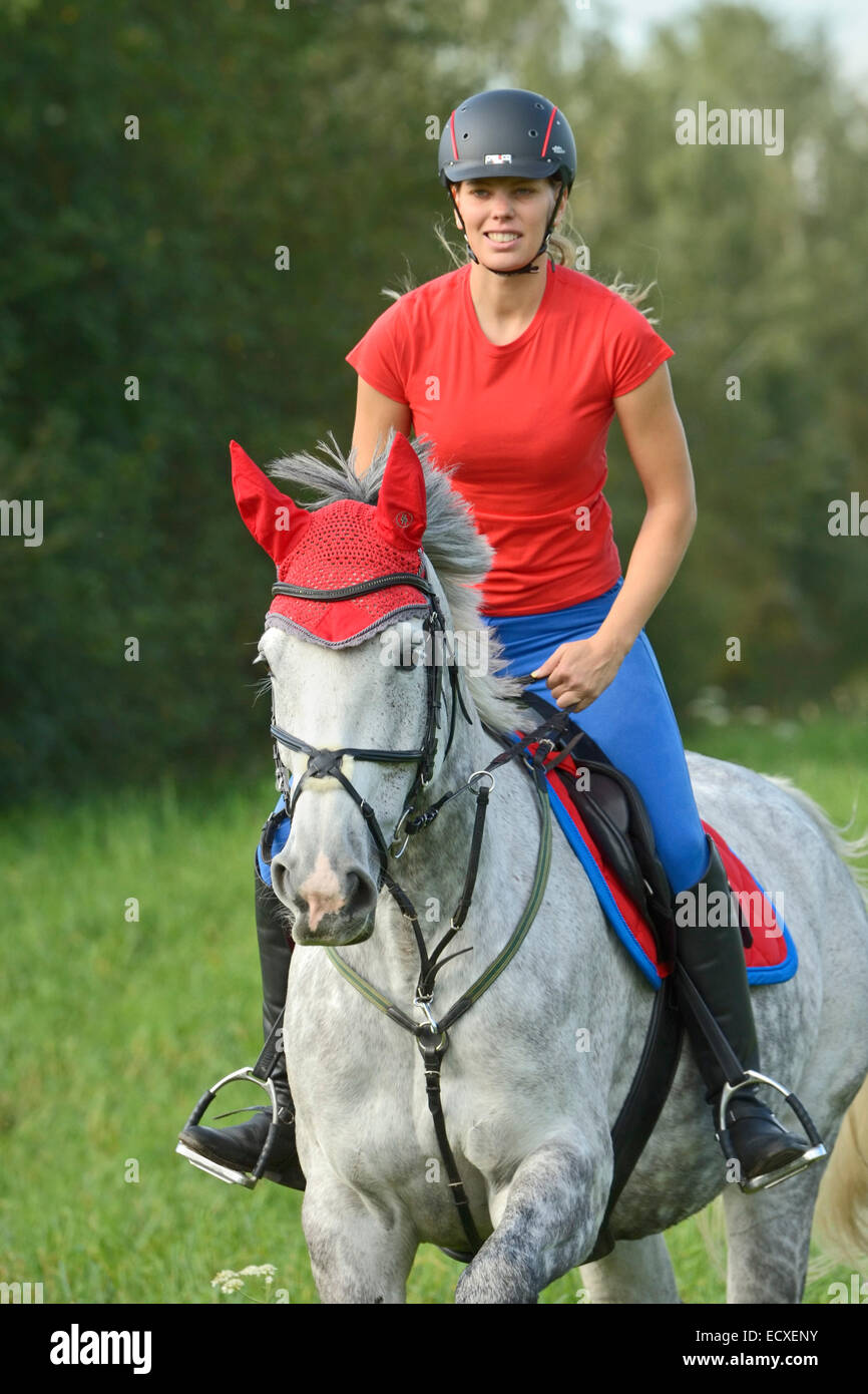 French Horse Rider at Phillip Dorsey blog