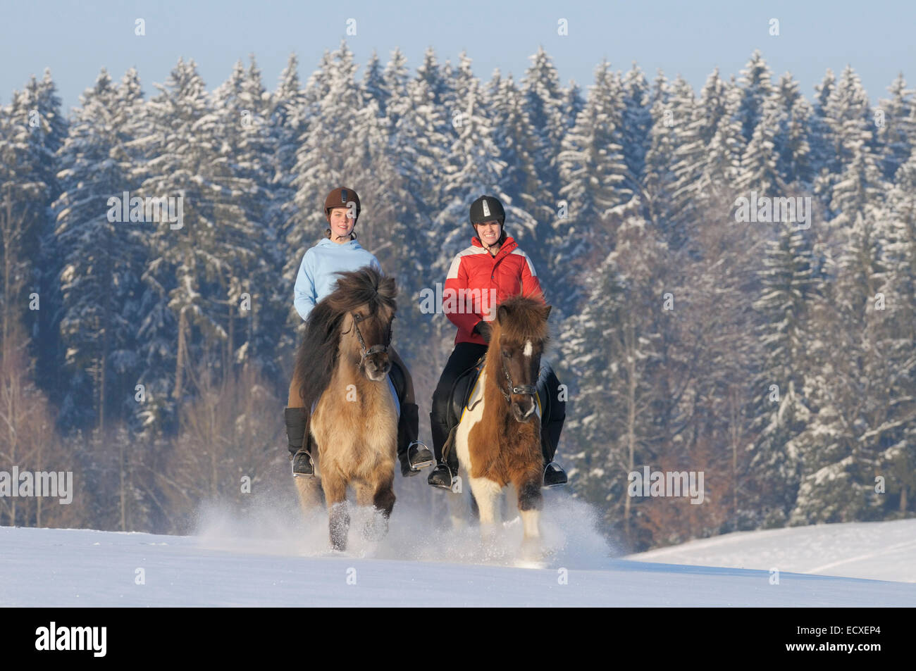 Riding pony two woman girl rider hi-res stock photography and images ...