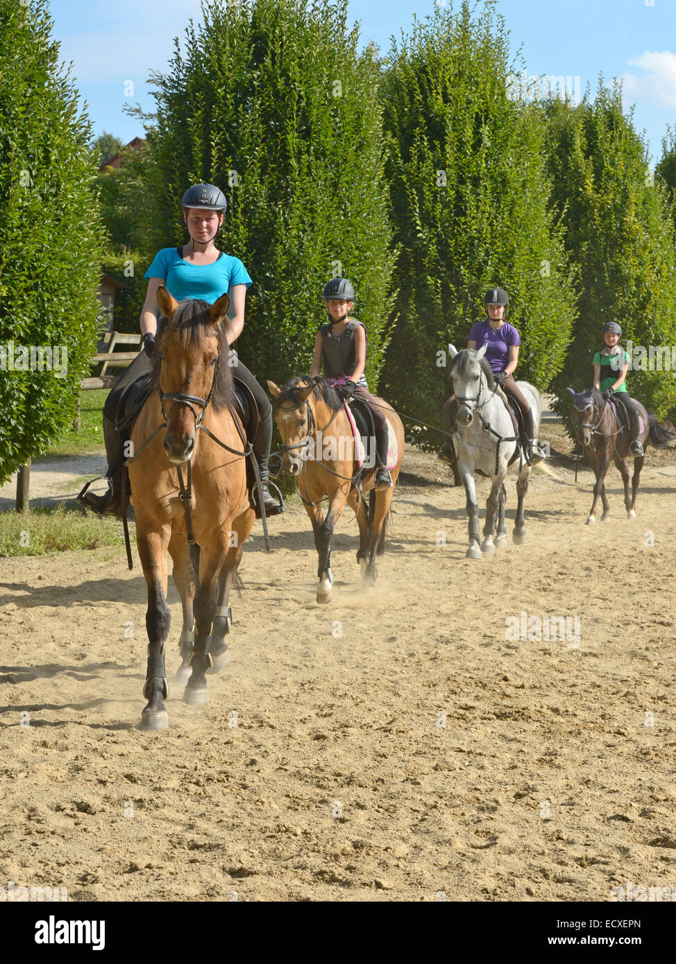 Group of young riders on ponies Stock Photo - Alamy