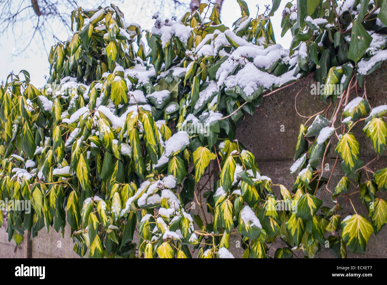 Partly covered hi-res stock photography and images - Alamy