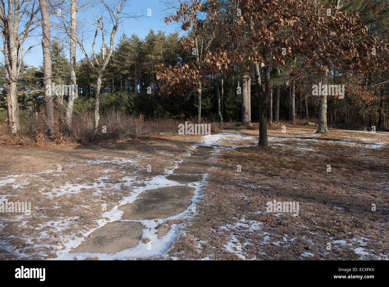 A sidewalk through Dana common, Gate 40, Quabbin Reservoir, Petersham ...