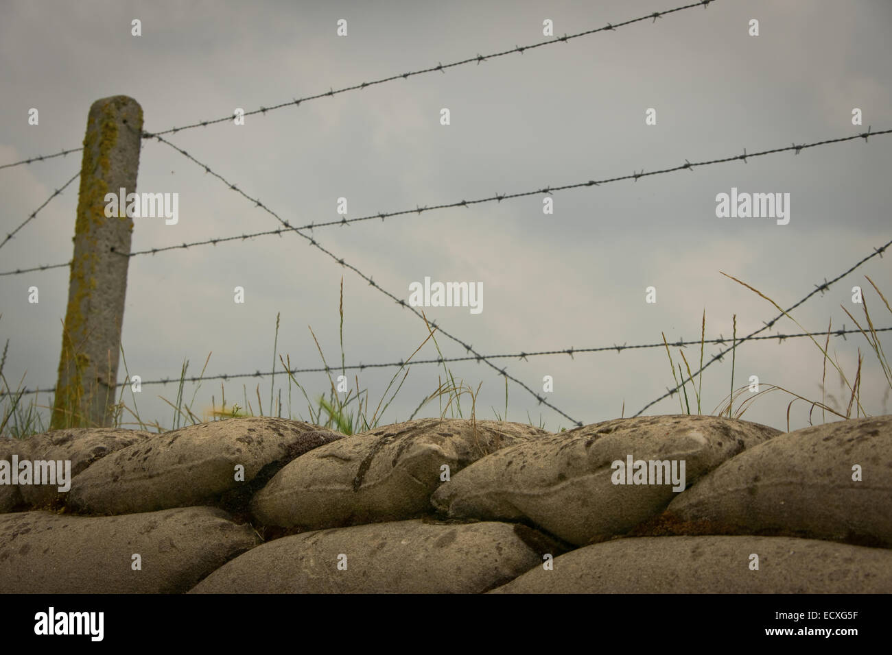 Barbed wire wwi hi-res stock photography and images - Alamy