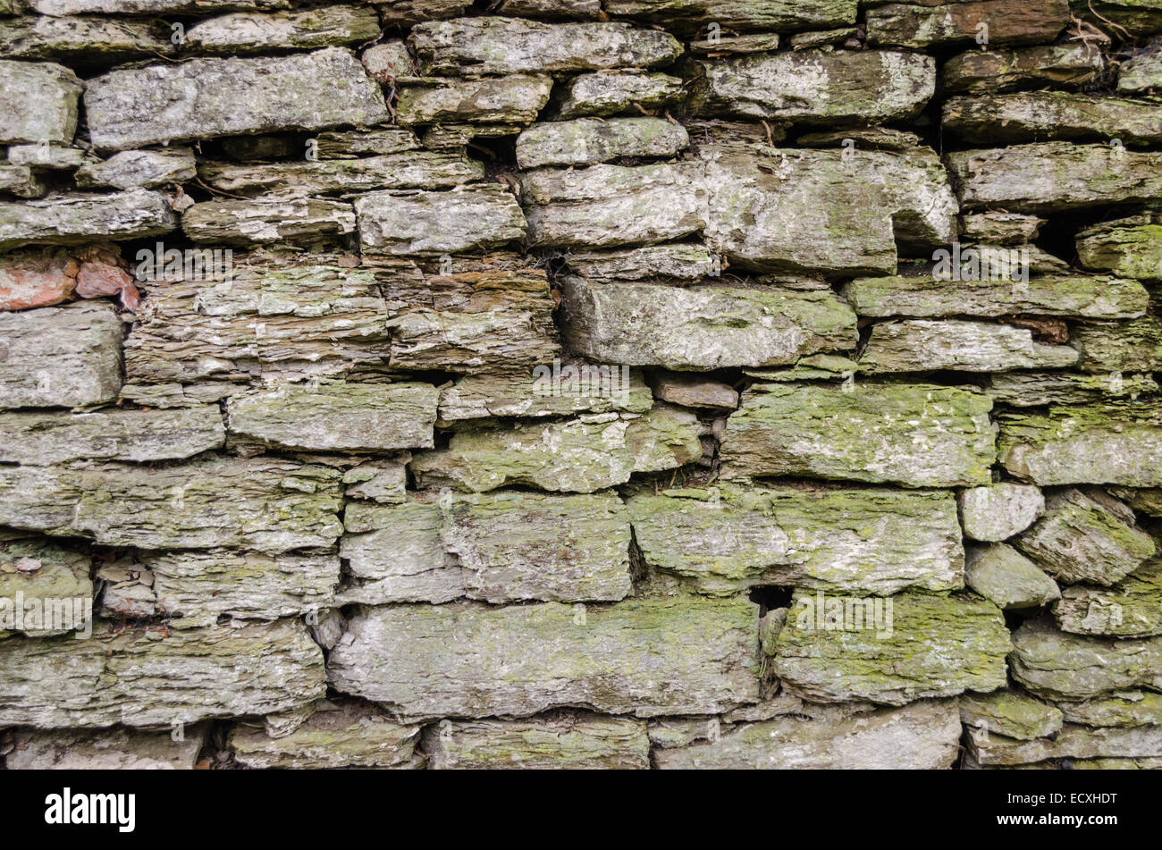 Algae background brick hi-res stock photography and images - Alamy