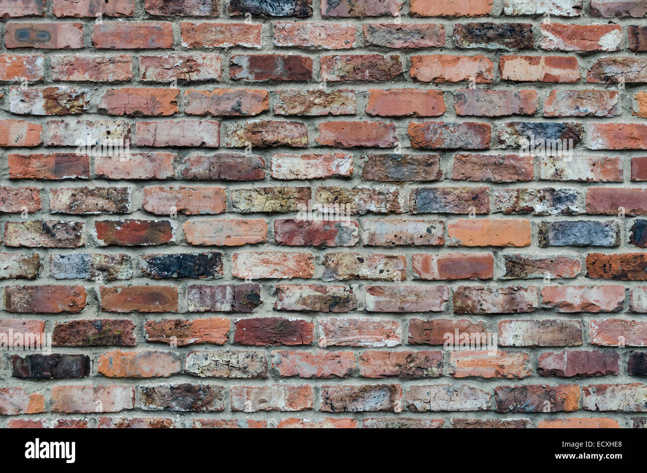 Old multi shaded brick wall Stock Photo - Alamy