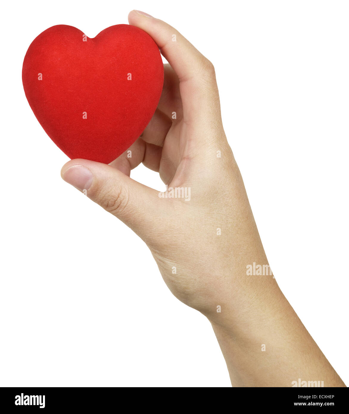 Hand holding the heart isolated on white background Stock Photo - Alamy