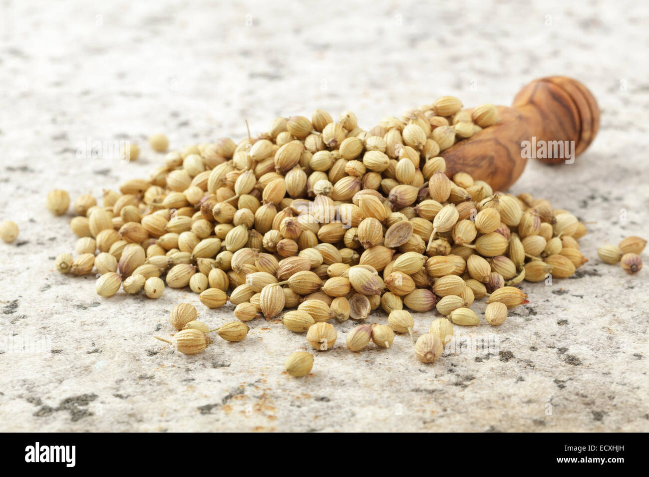 Coriander seeds hi-res stock photography and images - Alamy