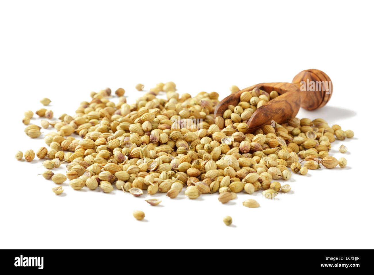 Coriander seeds hi-res stock photography and images - Alamy