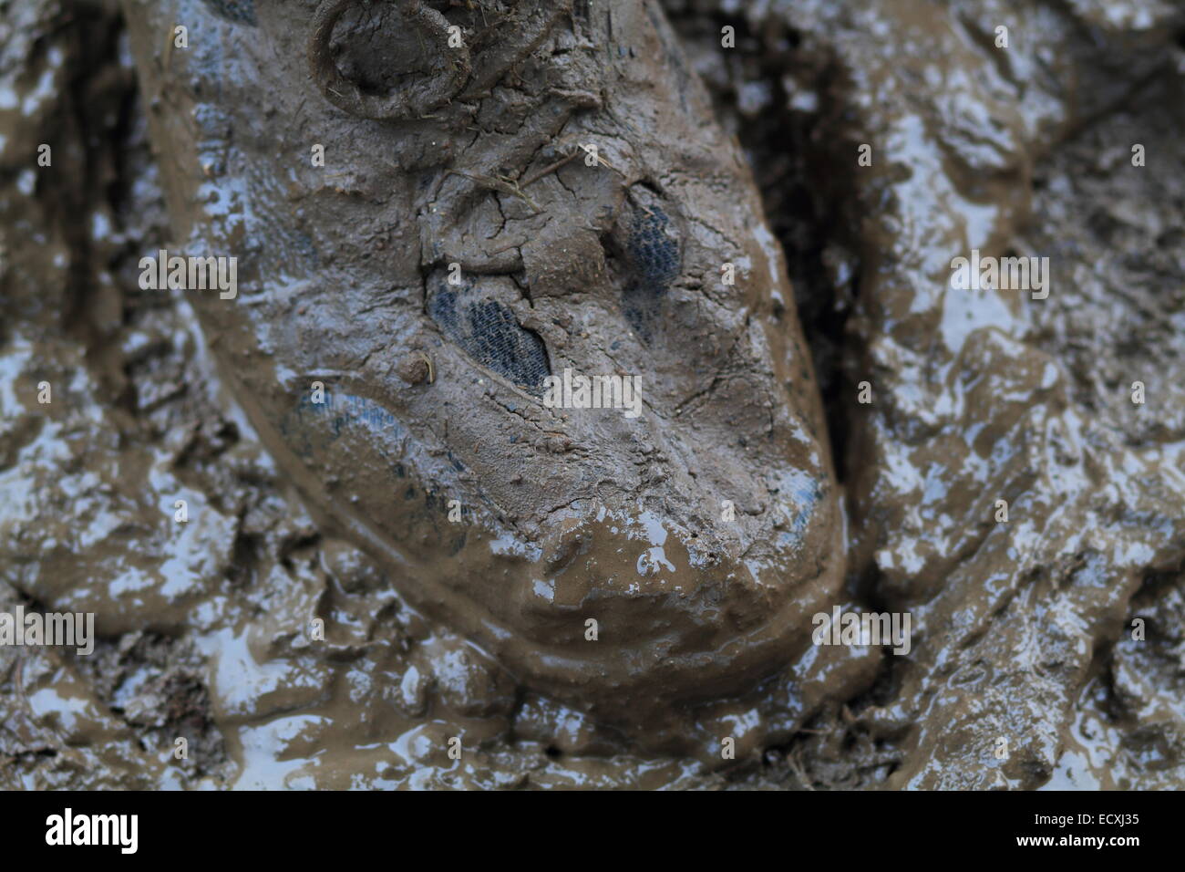 A closeup photo of a very muddy boot Stock Photo - Alamy