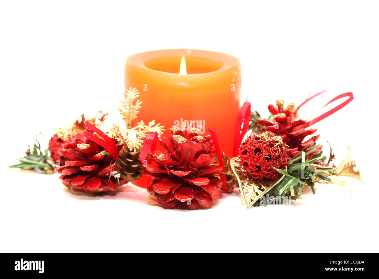 Orange pinecone Cut Out Stock Images & Pictures - Alamy