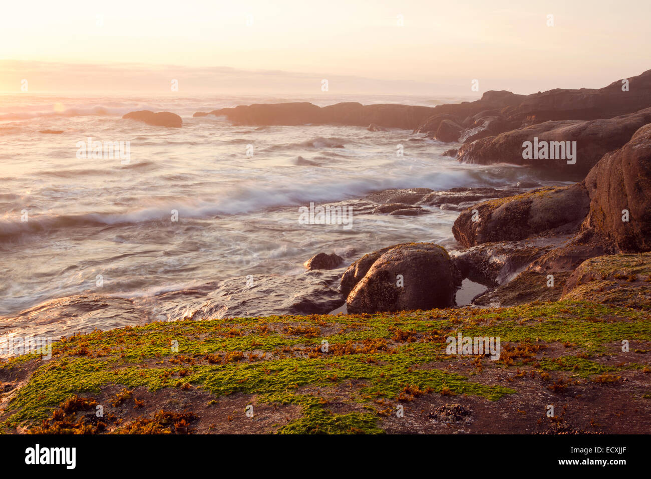 Ocean waves flowing over rocky shoreline at sunset Stock Photo - Alamy