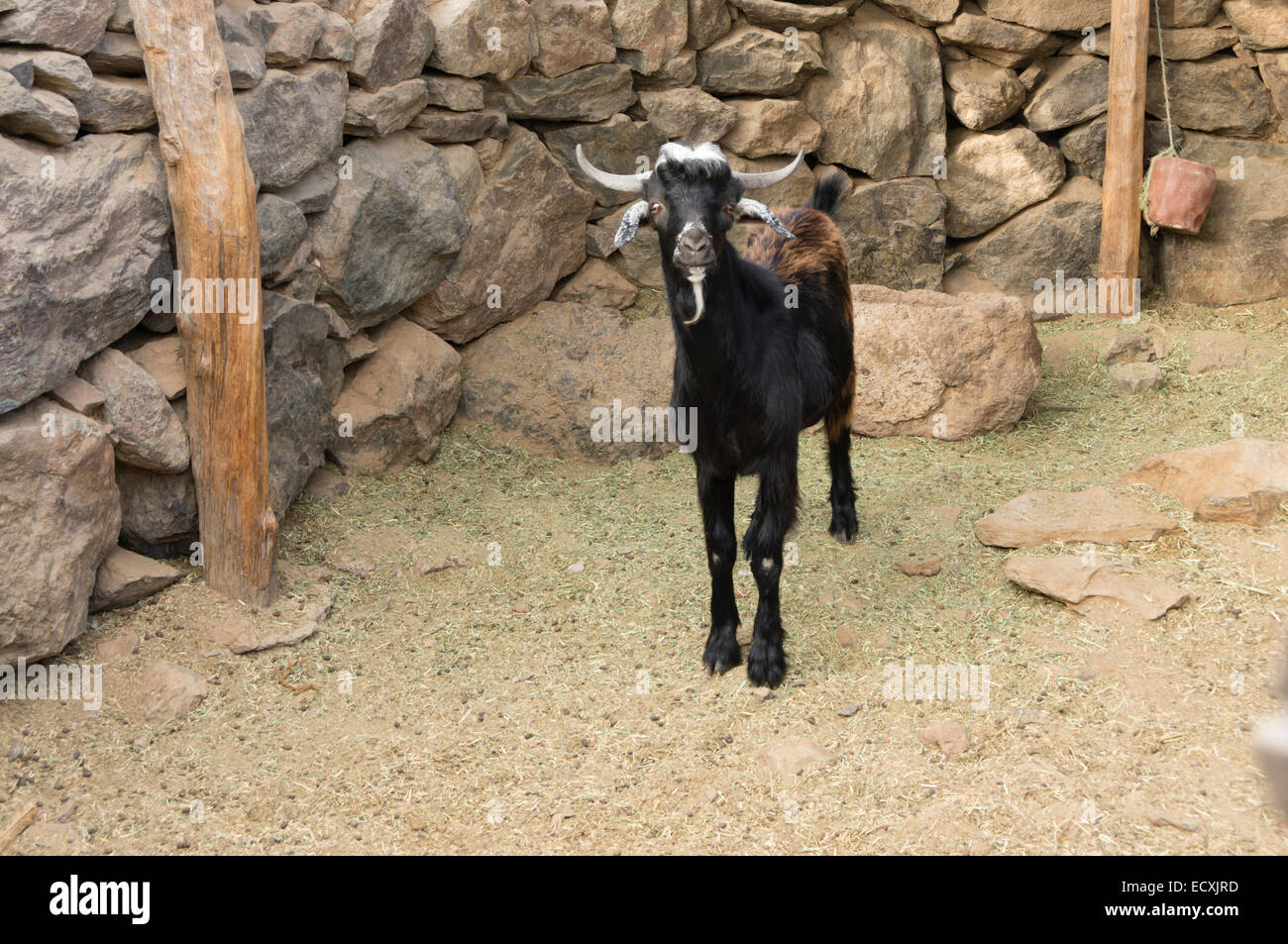 Gran Canaria - Mundo Aborigen history park with recreations of ...