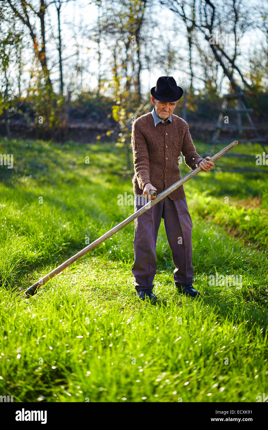 Senior farmer mowing the lawn with a scythe, traditionally Stock Photo ...