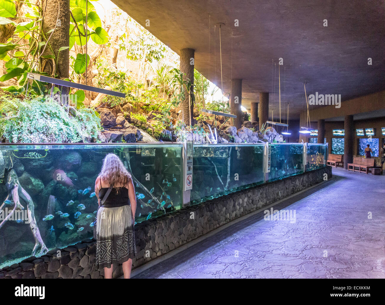 Gran Canaria - Palmitos Park. Aquarium Stock Photo - Alamy