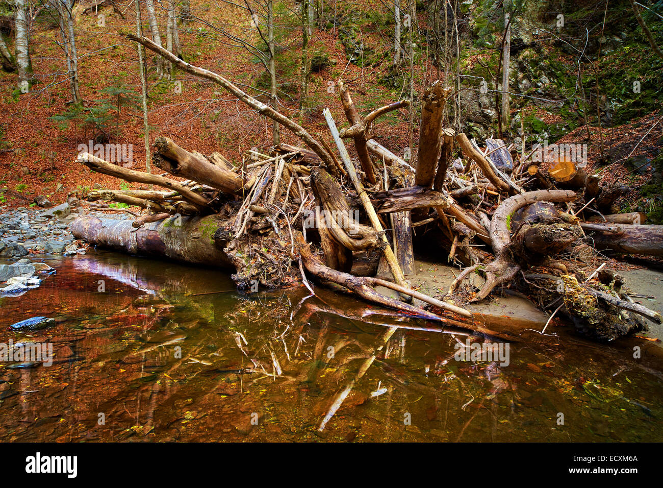 Landscape with drift wood piled up in a river Stock Photo - Alamy