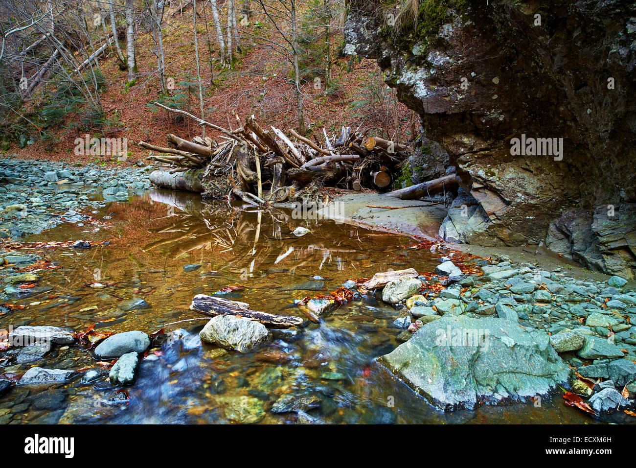 Landscape with river flowing through a canyon Stock Photo - Alamy