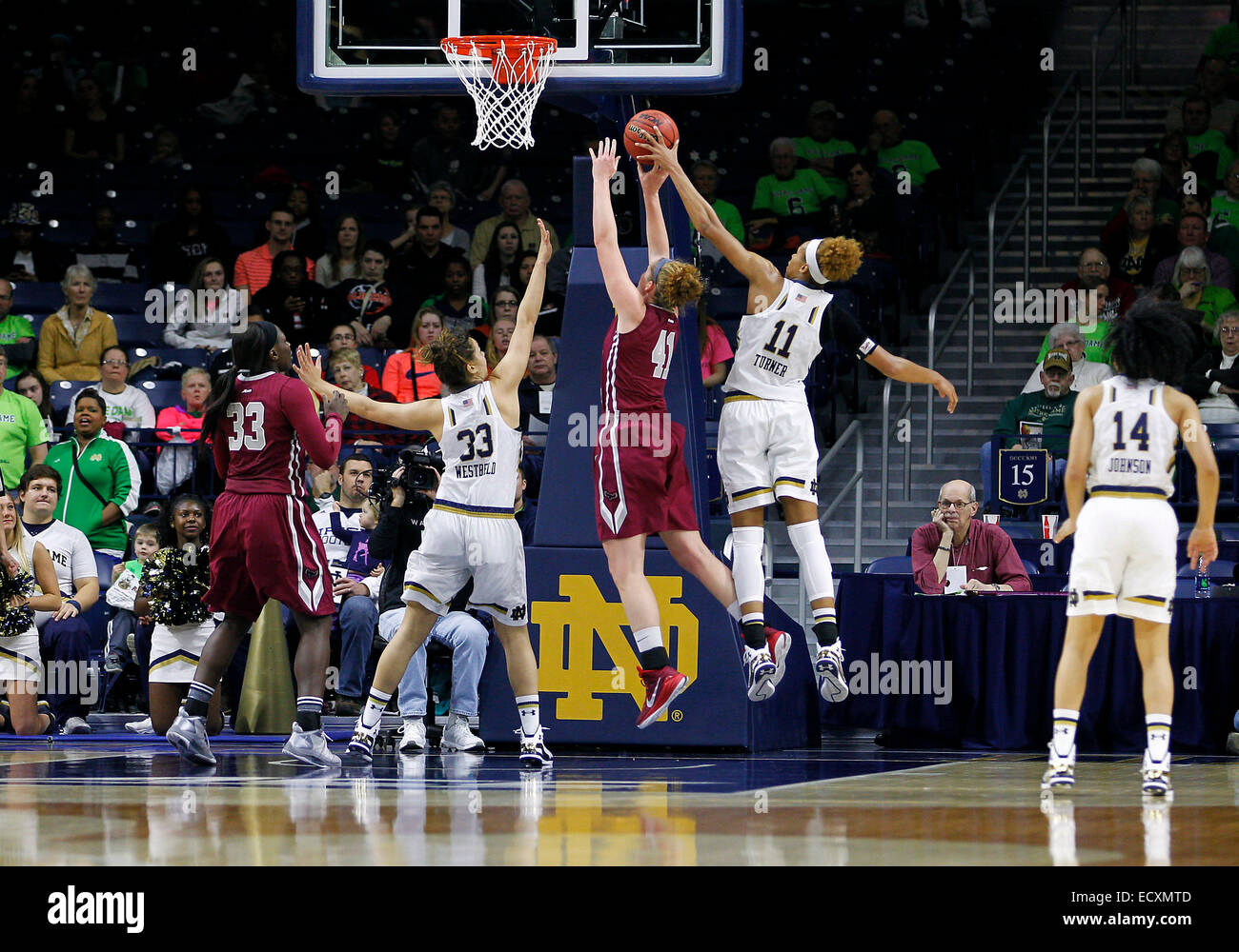 Sarah hawks hi-res stock photography and images - Alamy