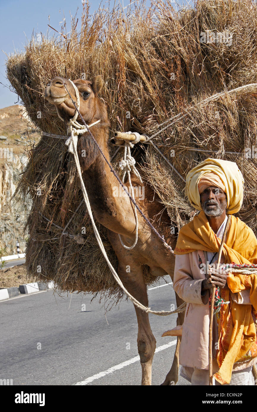 Gammit hi-res stock photography and images - Alamy