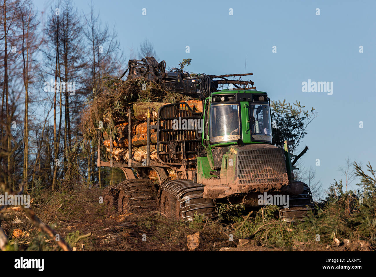 Logging tracks hi-res stock photography and images - Alamy