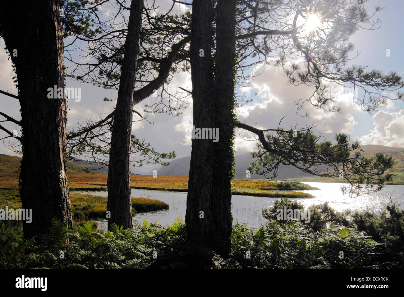 Lough Beagh (Loch Gleann Bheatha) in the Glenveagh National Park ...