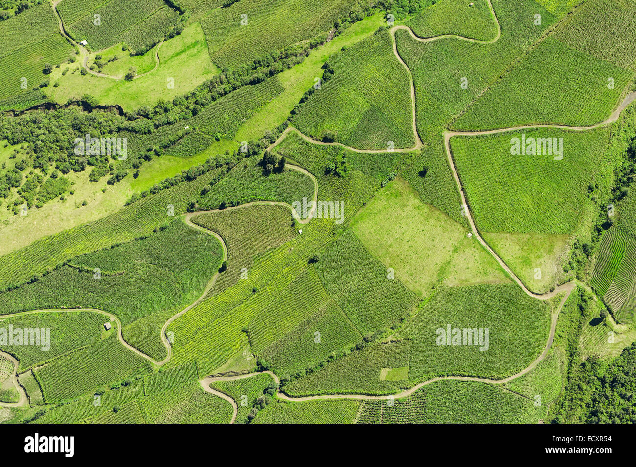 Ecuadorian Farmland Aerial Shot Tungurahua Province High Altitude Full ...