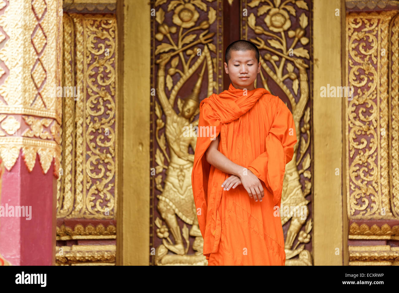 Young Buddhist Monk Standing And Smiling To The Camera. Looking Down ...
