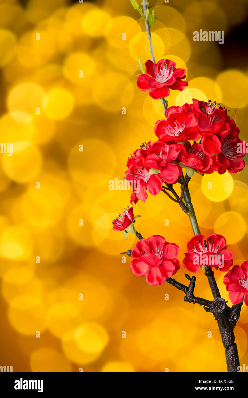 Chinese new year's decoration for Spring festival Stock Photo - Alamy