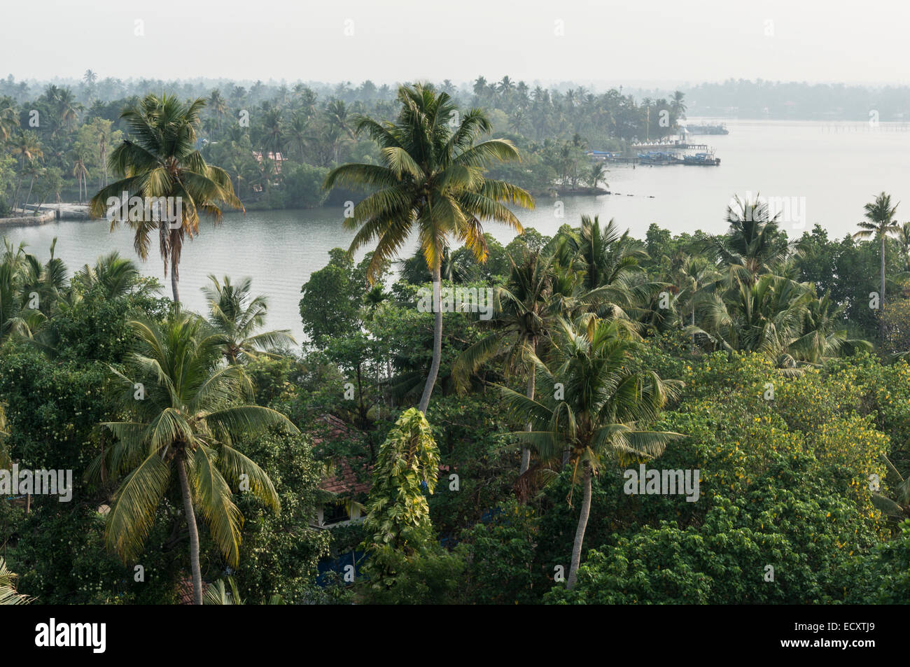 Kerala, India - Cochin. Lagoons and islands, backwaters Stock Photo - Alamy