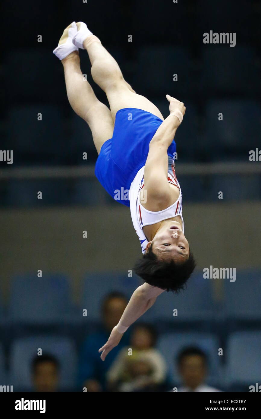 Todoroki Arena, Kanagawa, Japan. 21st Dec, 2014. Masaki Ito, DECEMBER 21, 2014 - Trampoline ...