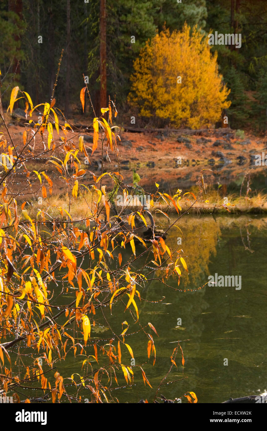 Clear Lake, South Warner Wilderness, Modoc National Forest, California ...