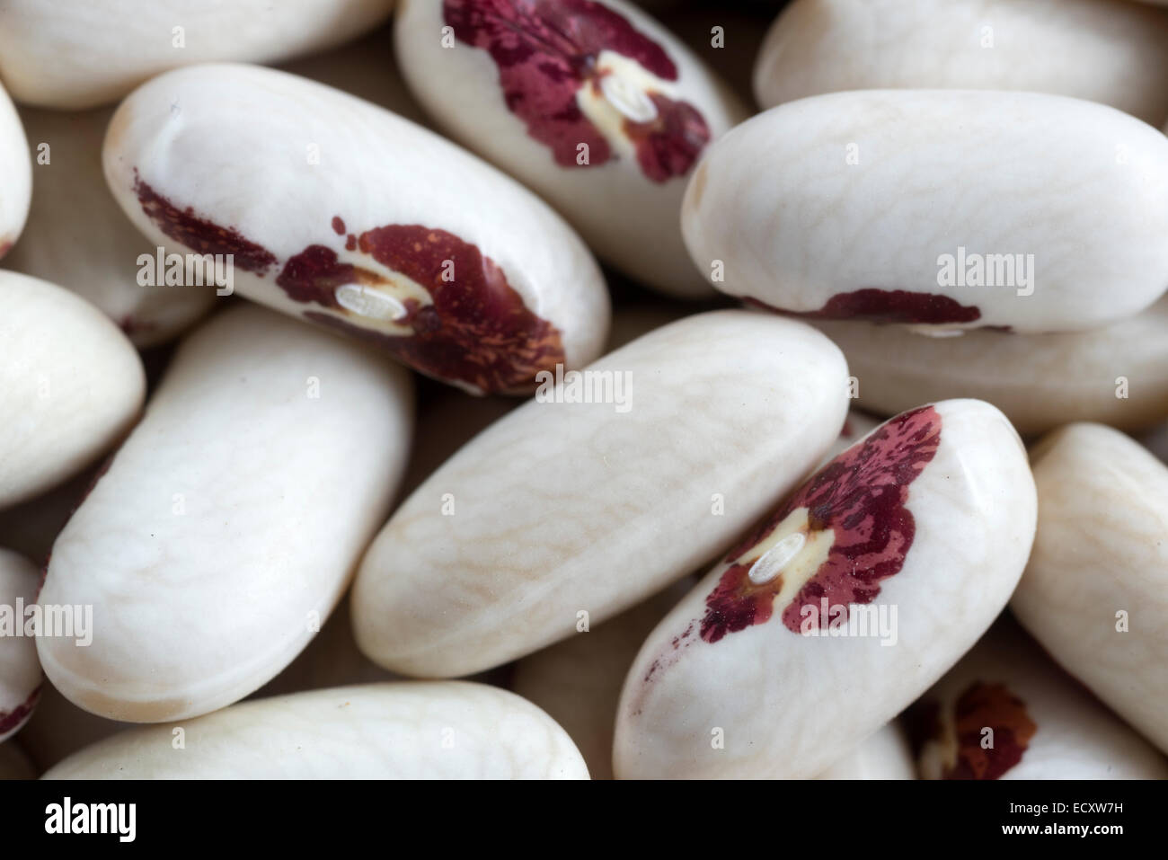 Soldier beans hi-res stock photography and images - Alamy