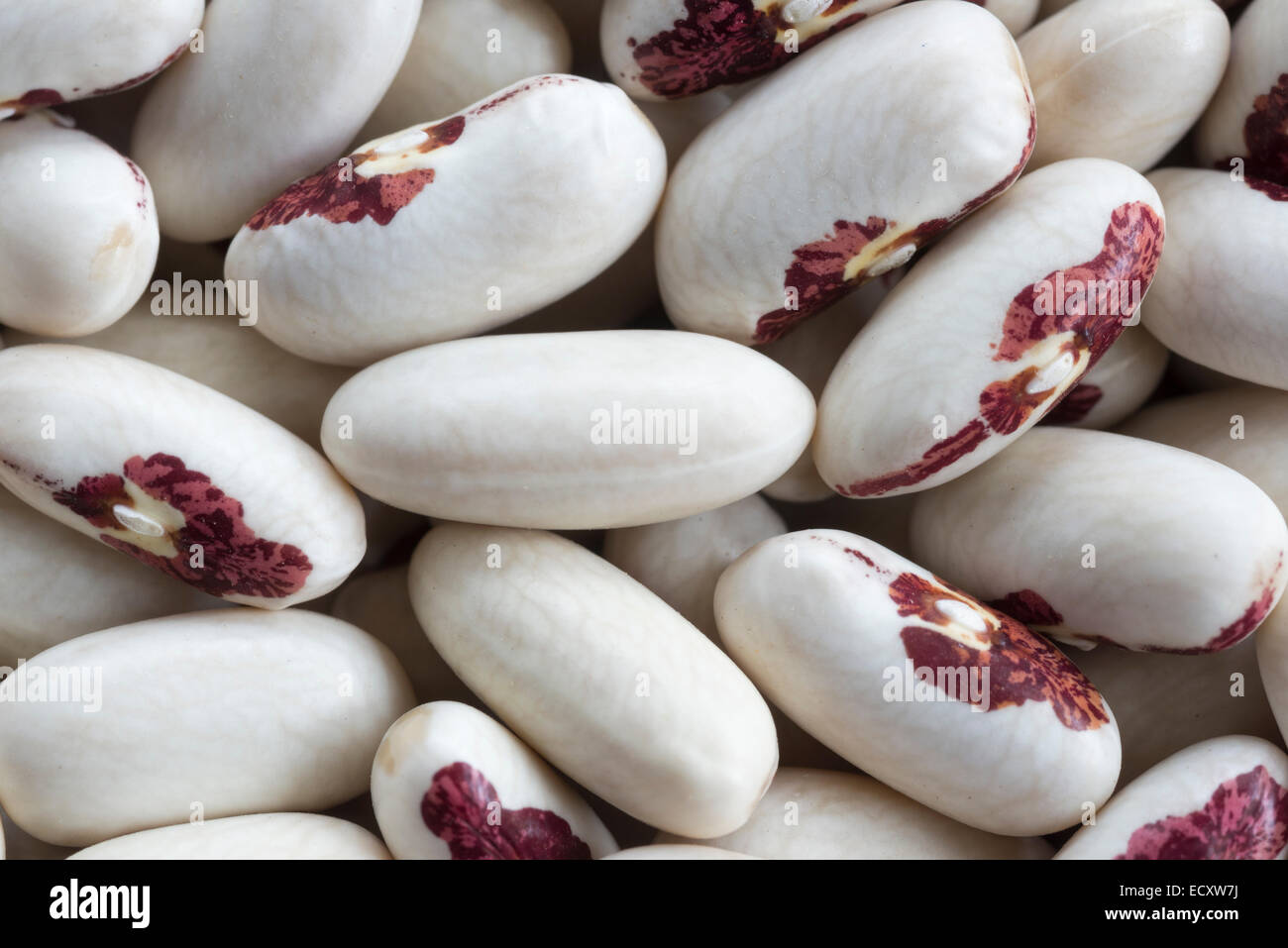 Dried Soldier beans Stock Photo - Alamy