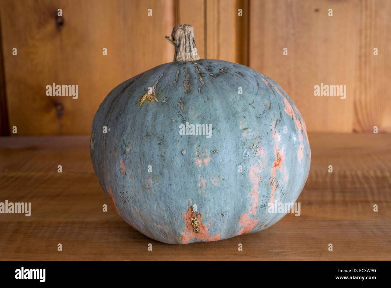 Hubbard squash hi-res stock photography and images - Alamy