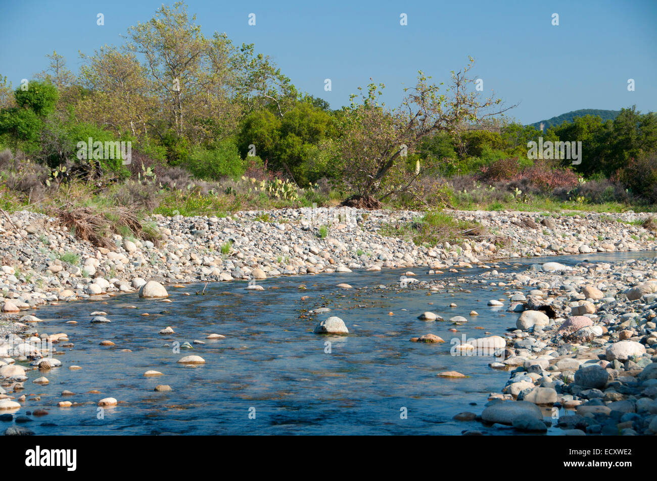 San juan creek caspers wilderness park hi-res stock photography and ...