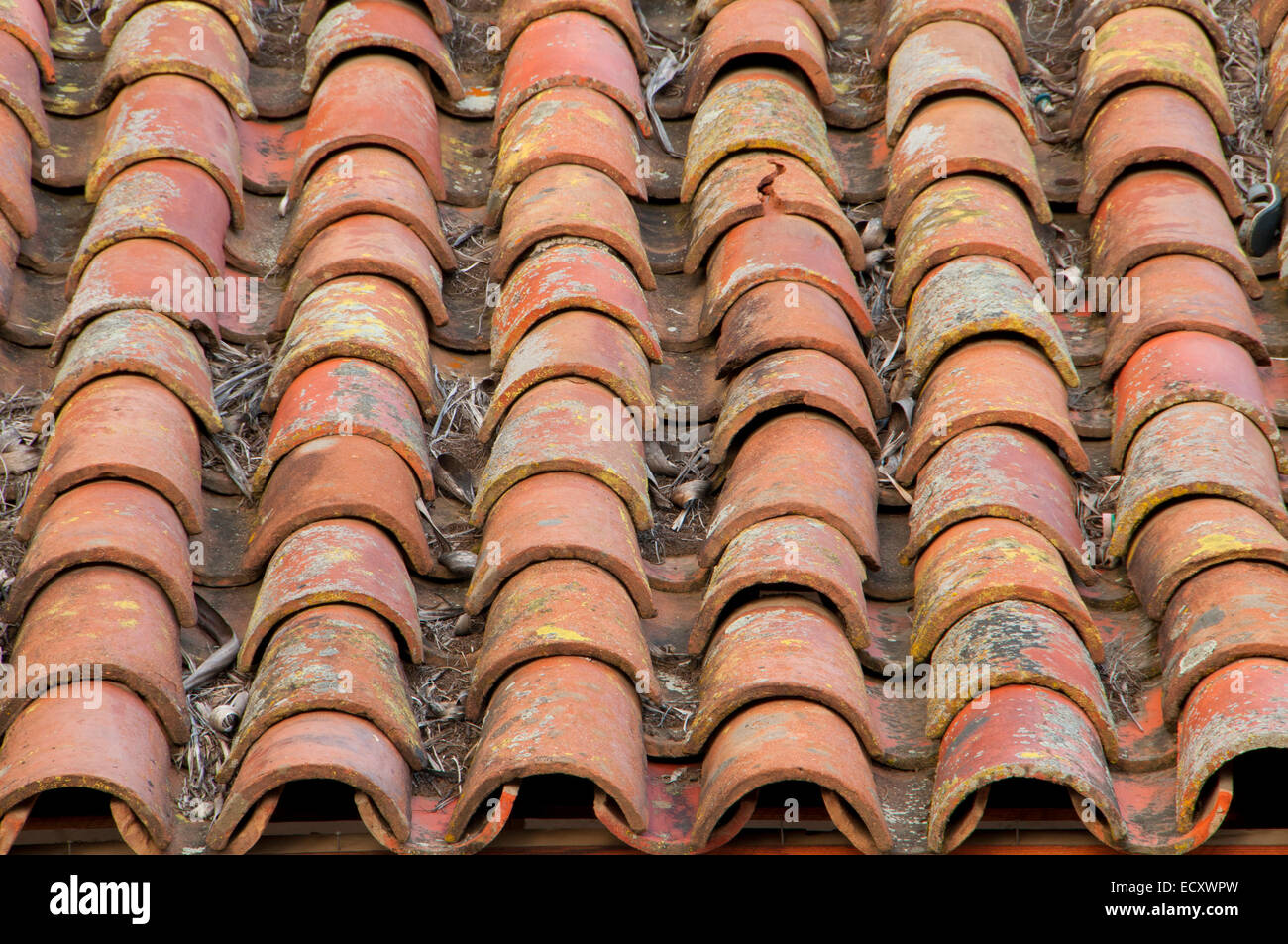 Mission tile roof, Mission San Antonio de Pala, Pala Indian Reservation ...
