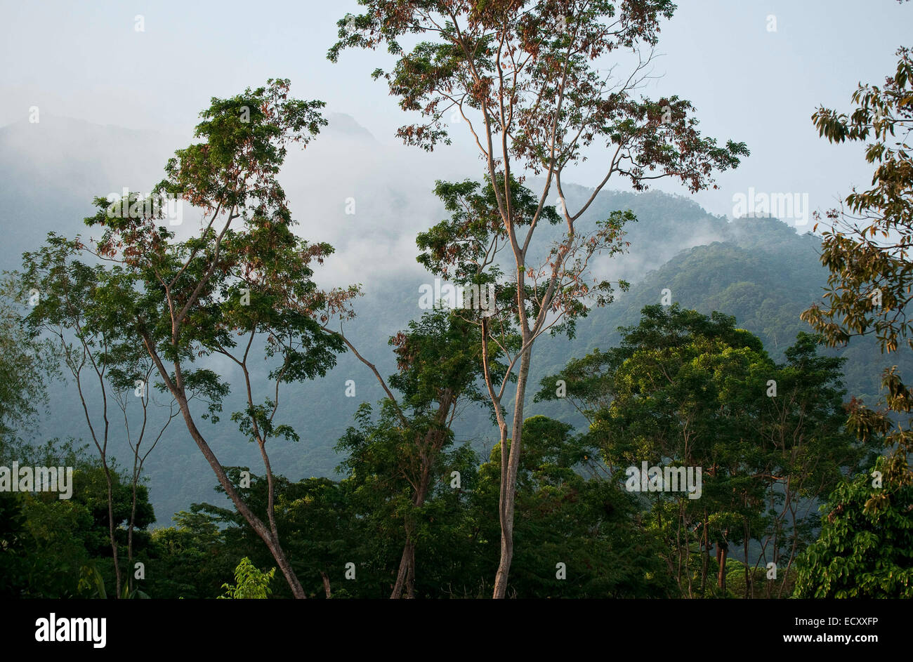 Honduras national parks hi-res stock photography and images - Alamy