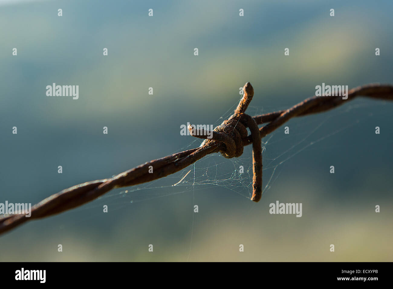Barbed wire border hi-res stock photography and images - Alamy