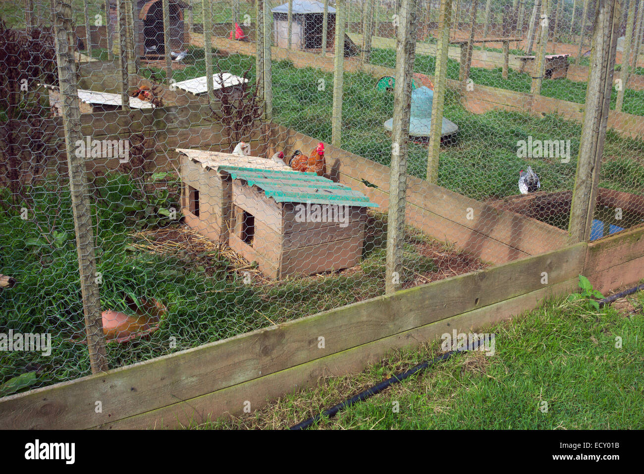 Poultry unit hi-res stock photography and images - Alamy