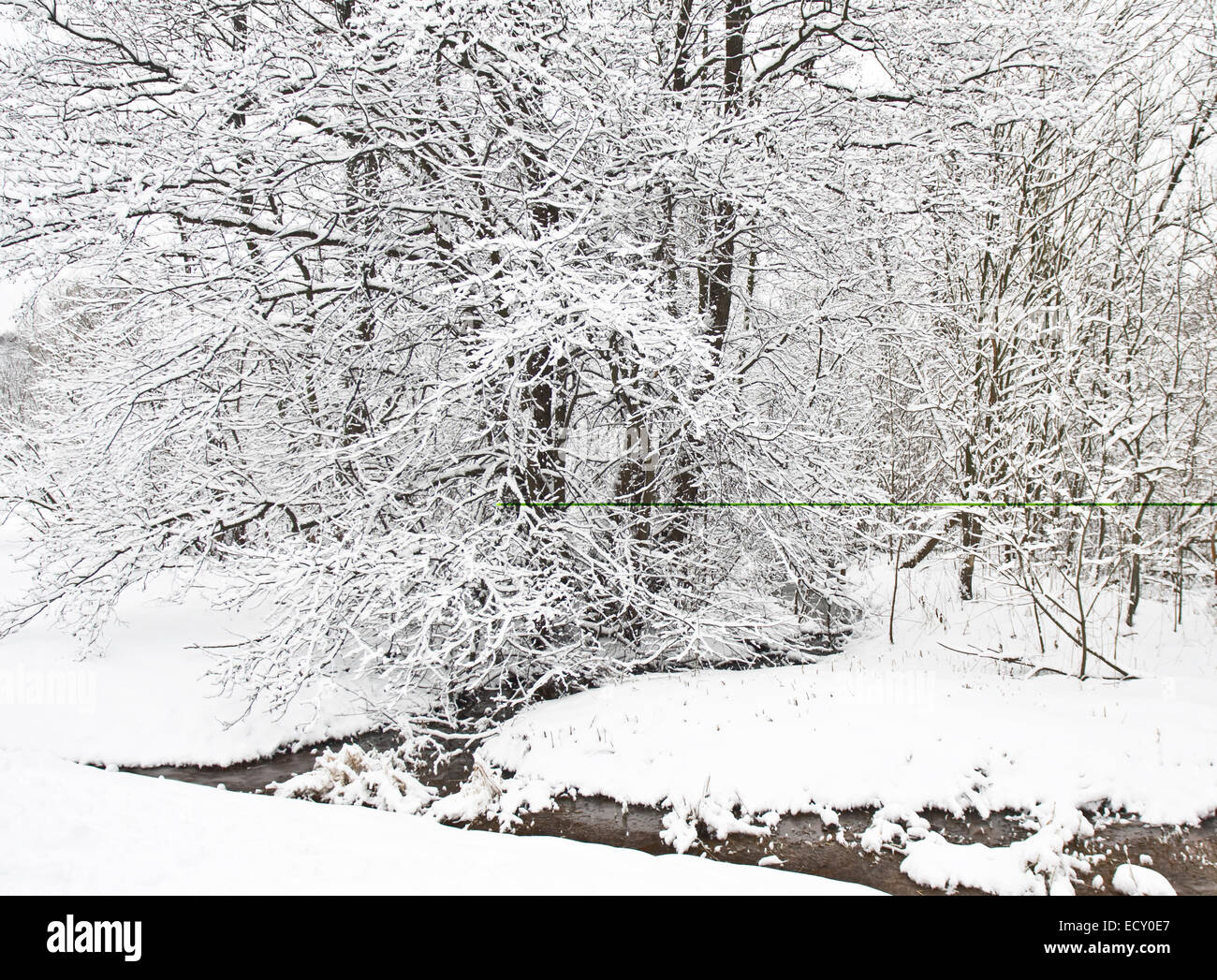 Winter landscape - forest, trees with snow-covered branches, little ...