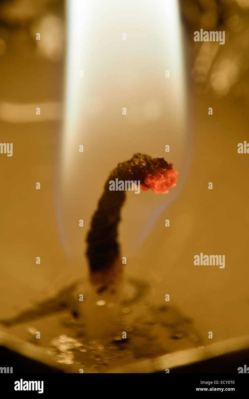 Inside a flame Stock Photo - Alamy