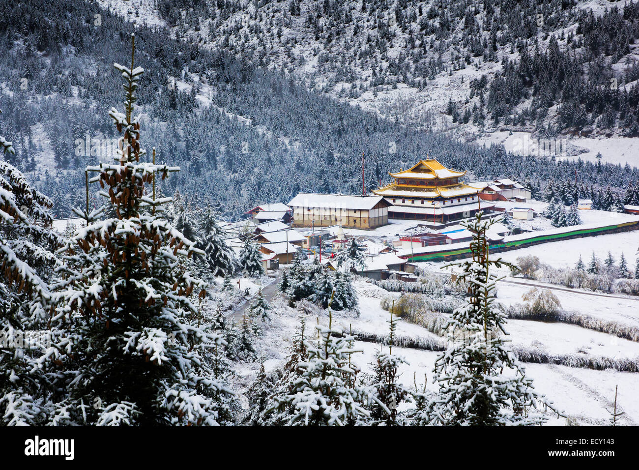 Spruce mountain hi-res stock photography and images - Alamy