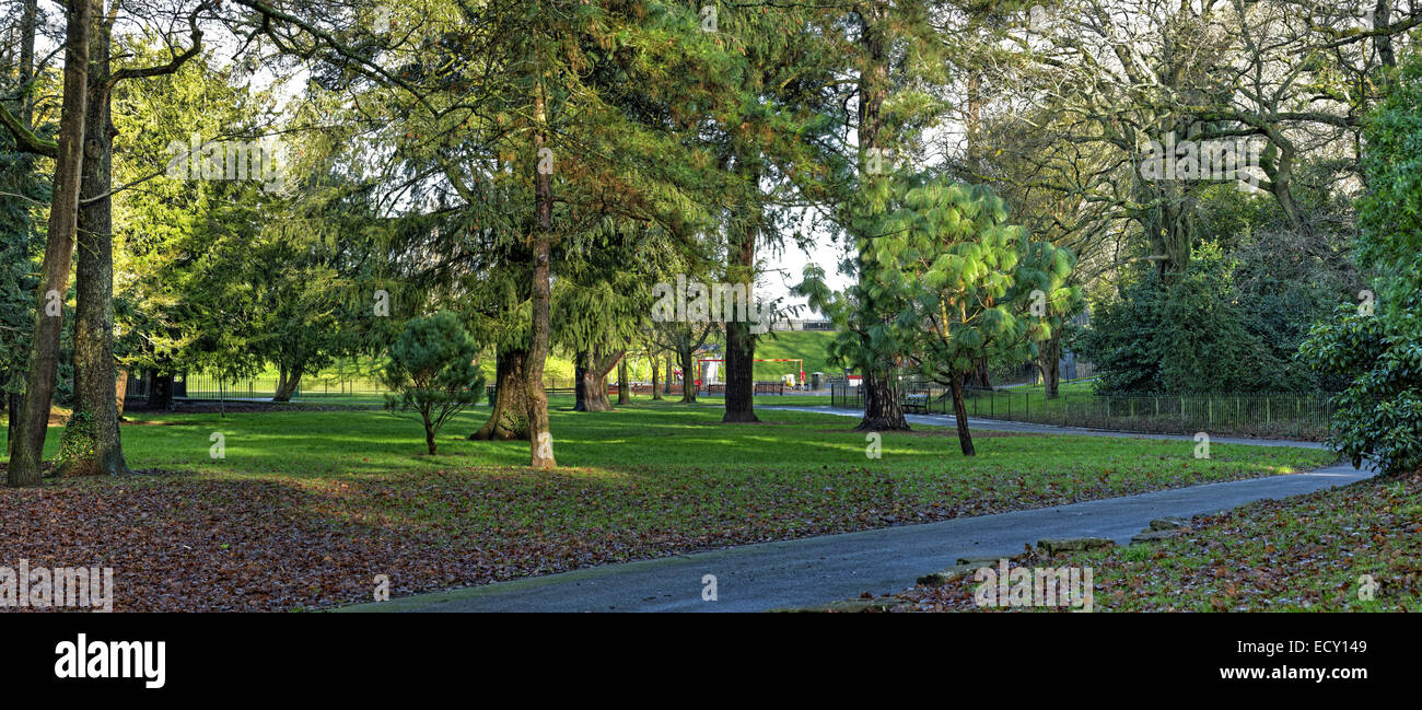 Panoramic view of a path winding through a park in Autumn / Fall with ...
