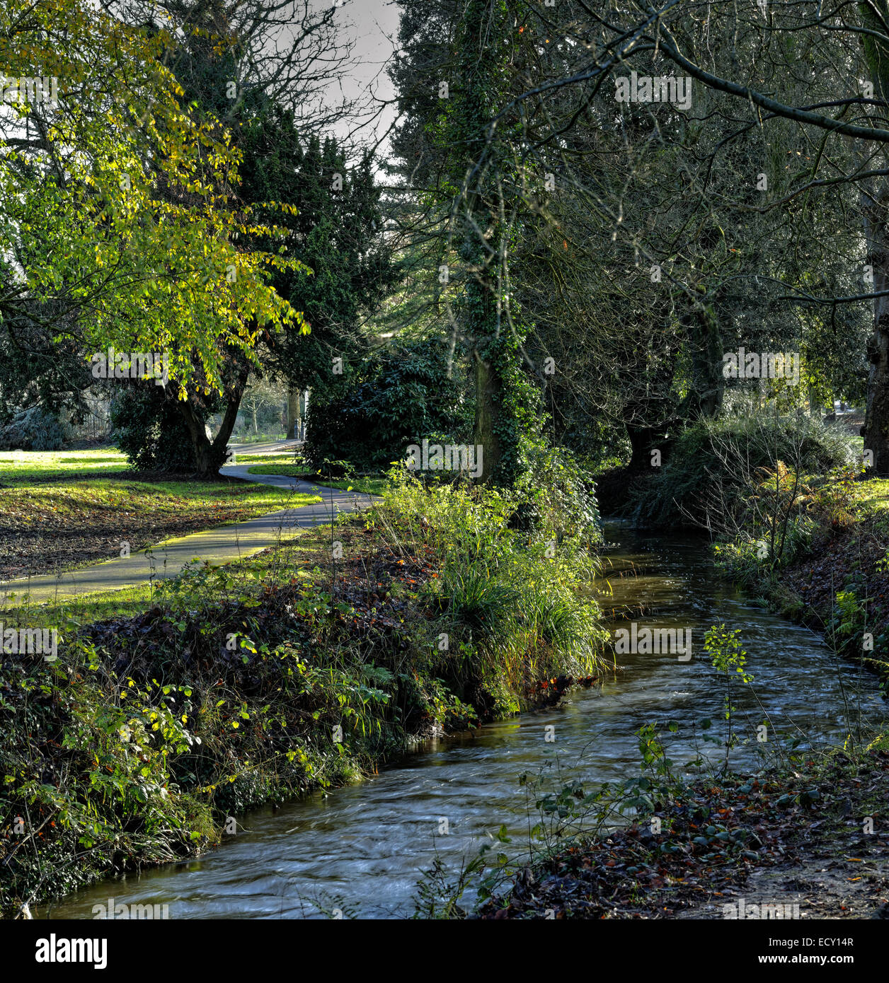 A stream flowing through parkland with a path, trees and shrubs along ...