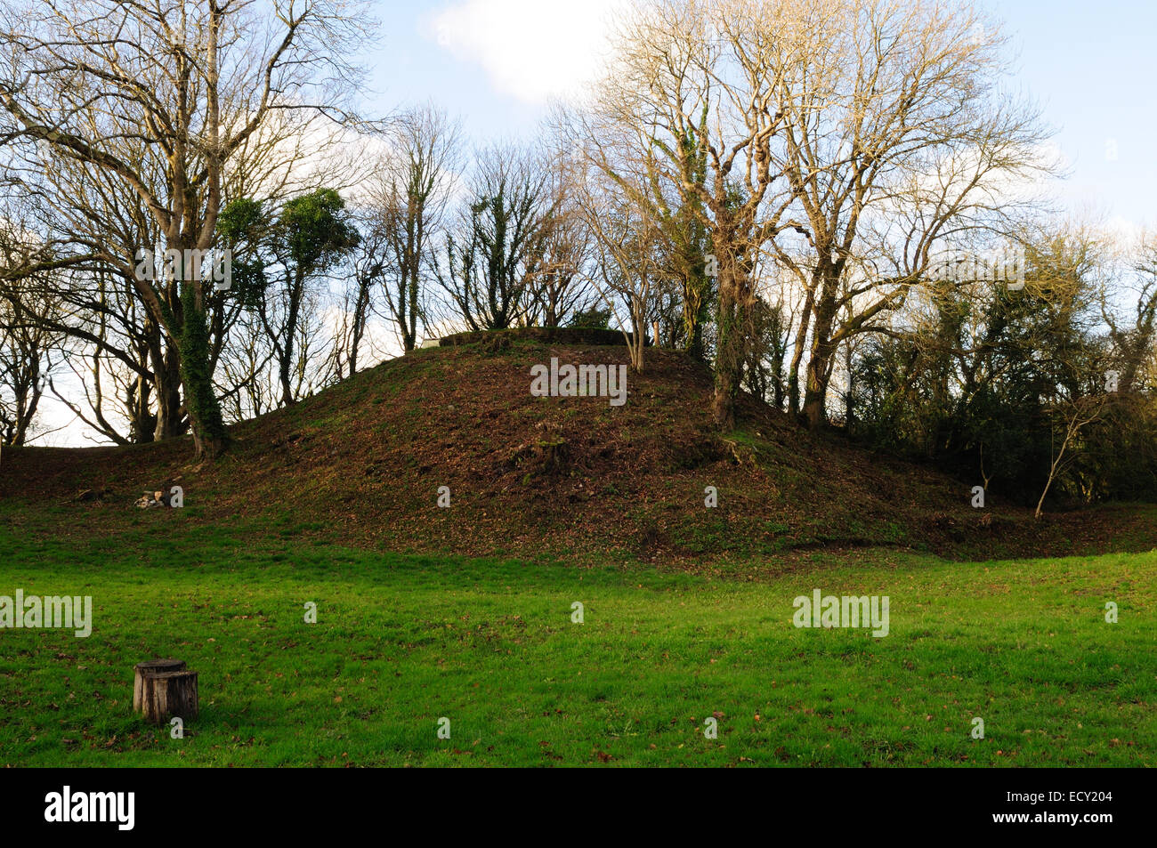 The Motte at the ruins of Nevern Motte and Bailey Castle Nanhyfer ...