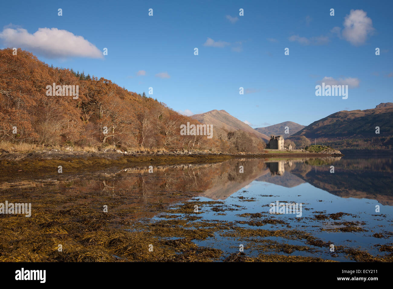 Dunderave Castle on the shores of Loch Fyne Stock Photo - Alamy