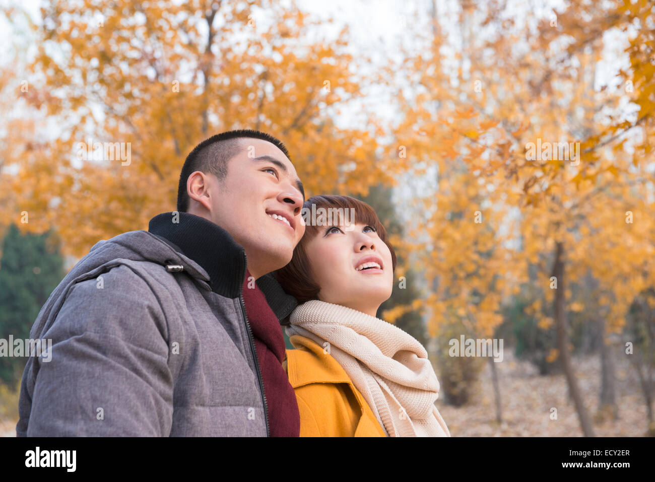 Couple looking at view hi-res stock photography and images - Alamy