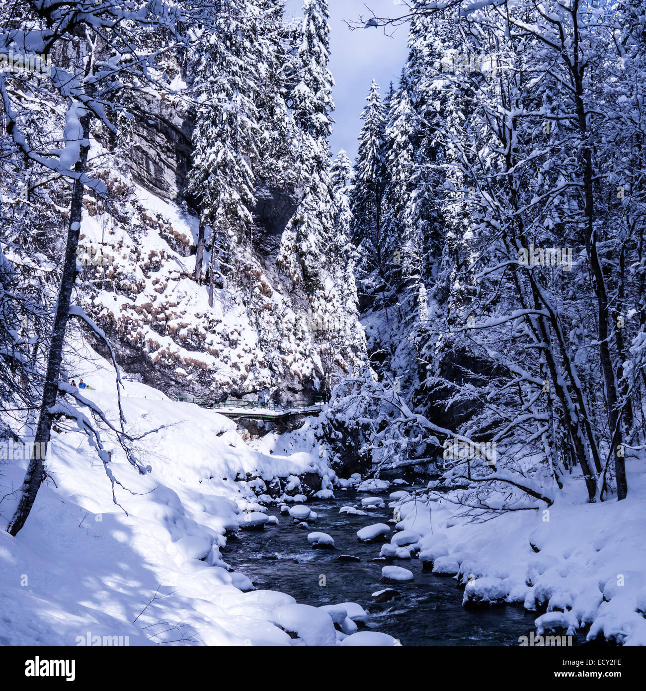 a river an trees (breitachklamm in bavaria in winter Stock Photo - Alamy
