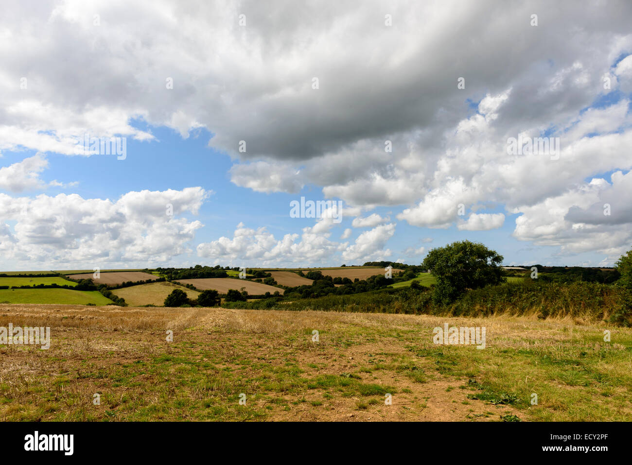 Cornwall countryside hi-res stock photography and images - Alamy